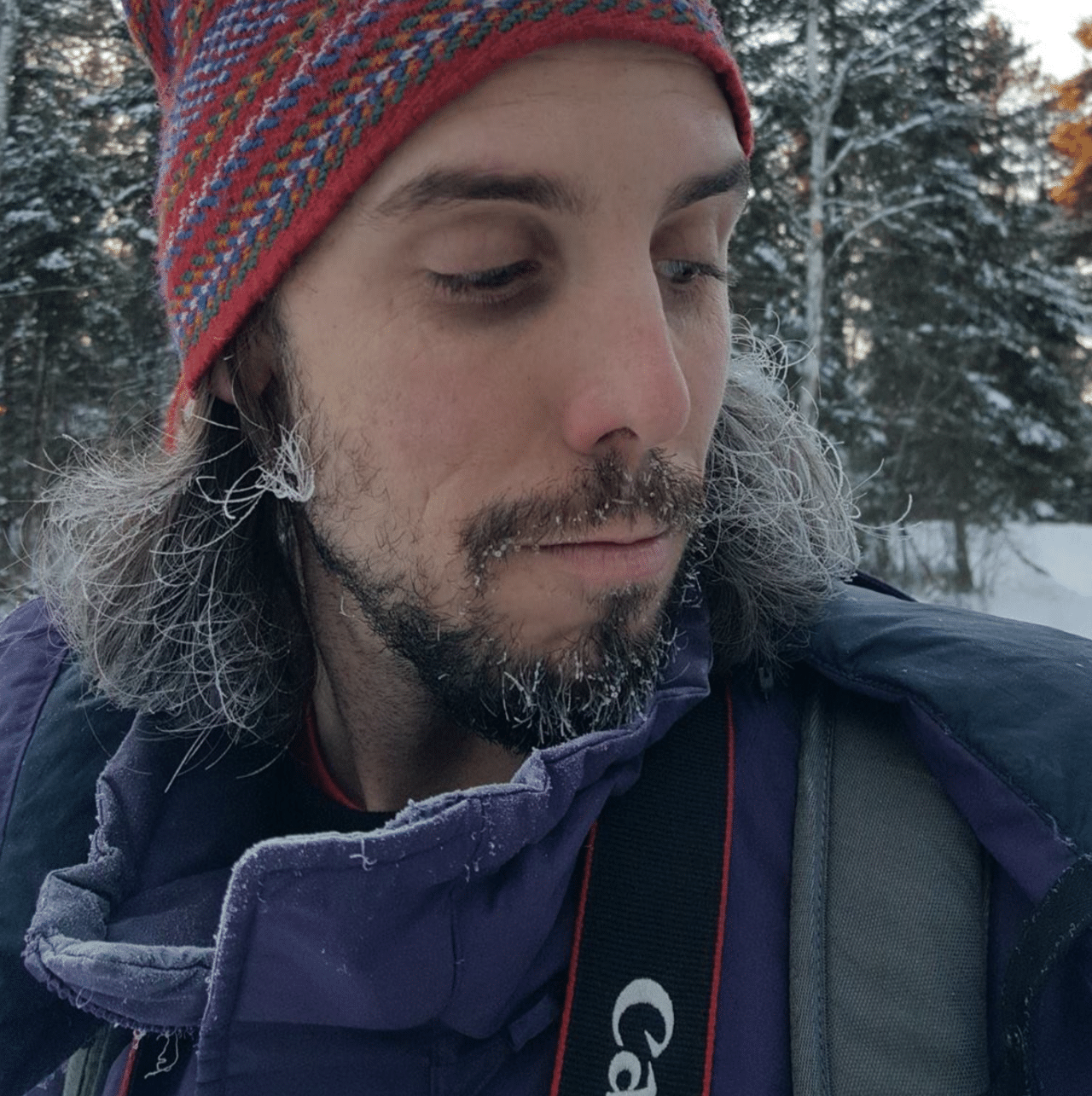 Minnesota Media Arts School | Zeitgeist